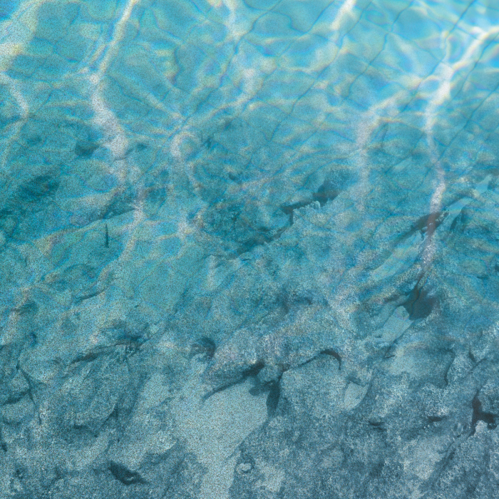 Design Principles: Texture | Studio 2D